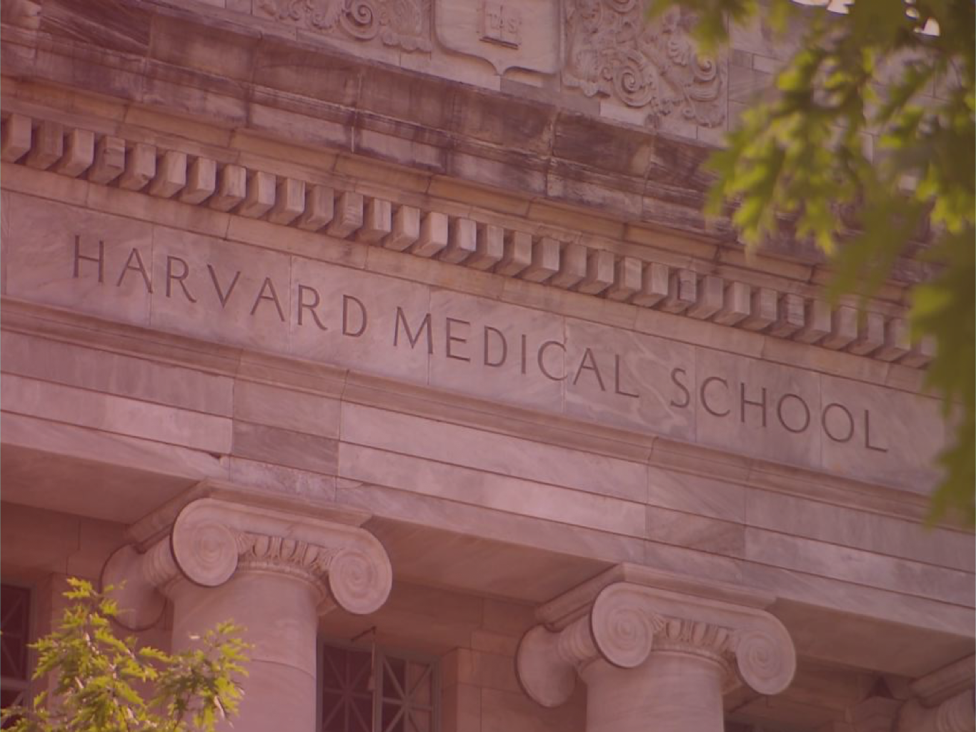 myce.hms.harvard.edu - urlscan.io